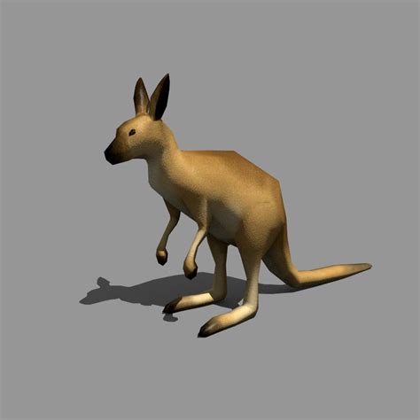 Kangaroo Free 3d Models Download Free3d