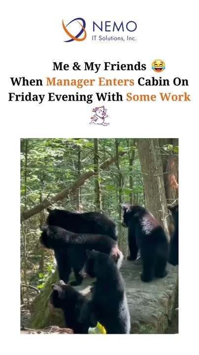 Nemo It Solutions Inc On Linkedin Manager Employee Officefun