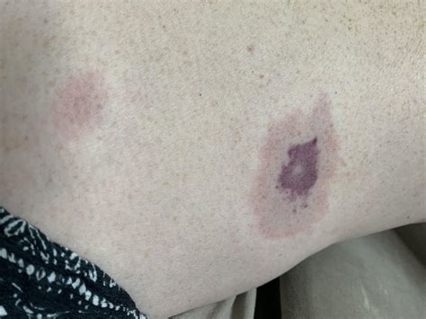 Br Bite Timeline Memorial Day To Labor Day Mid Sept Rbrownreclusebites