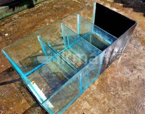 Fish Tank Filter Sump Filter For Sale In Boralesgamuwa Ikman