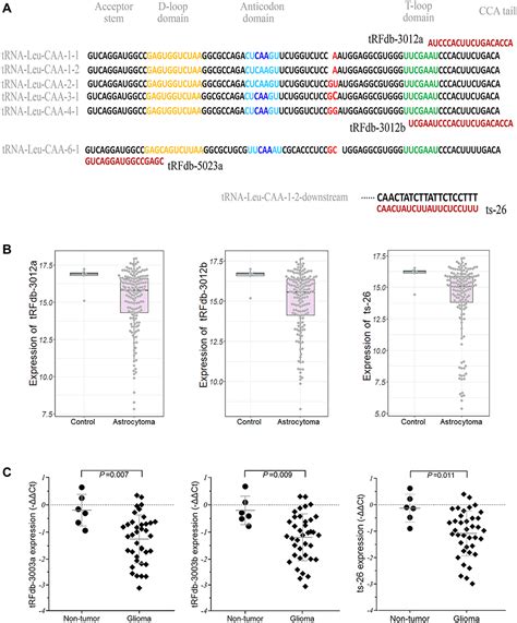 Identification Of Novel Trna Leu Caa Derived Tsrnas Cmar
