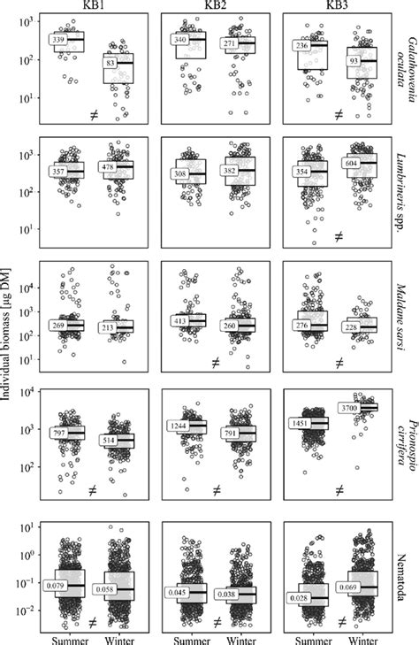 Individual Dry Mass Dm Of The Most Common Macrofaunal Species Top Download Scientific