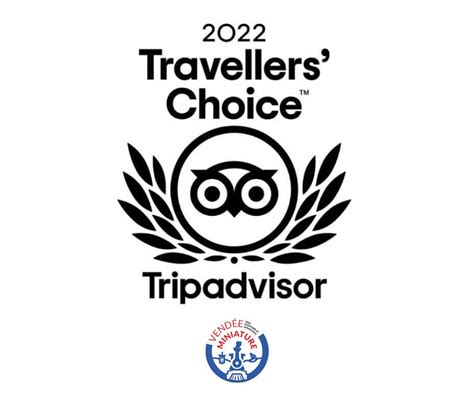 Avisclients Equipe Recommandation Experienceclient Juliette Moret