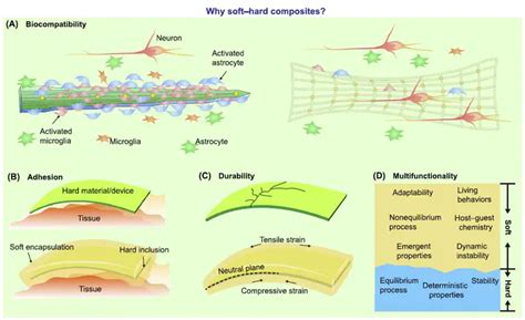 soft hard composites for bioelectric interfaces lin group nus