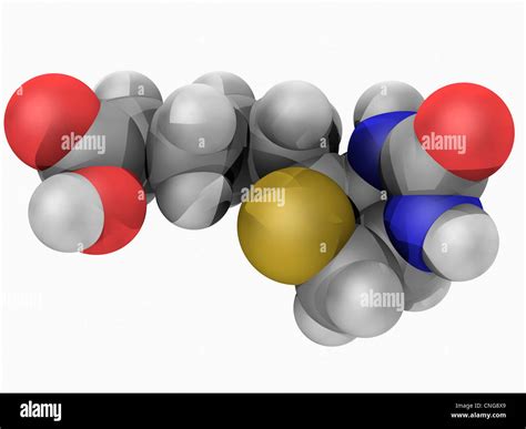 Vitamin B7 Stockfotos und -bilder Kaufen - Alamy