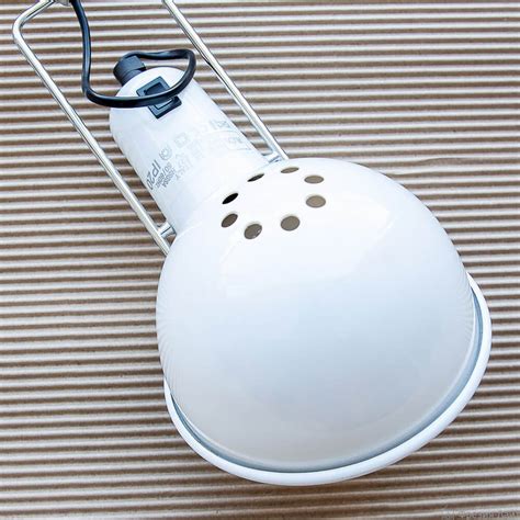 Flos 265 Small A0320009 белый настенный купить по цене 83400 руб со скидкой 10 в Москве или с