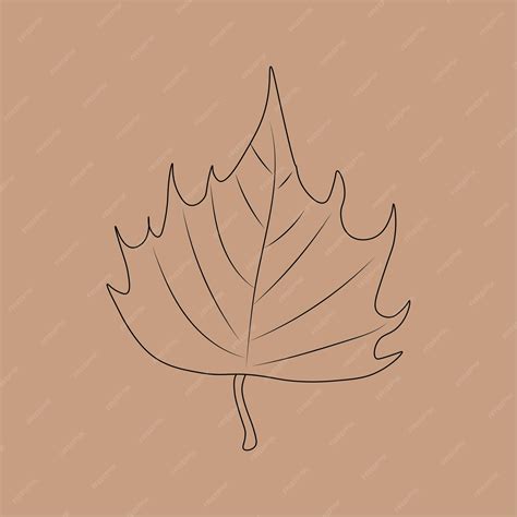 Premium Vector Set Of Hand Drawn Leaf Outlines Vector Illustration On The Autumn Background
