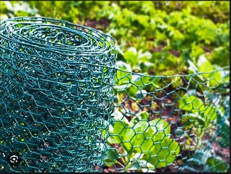 Hdpe Tree Gaurd Net At ₹ 60number In Nagpur Id 20966775491
