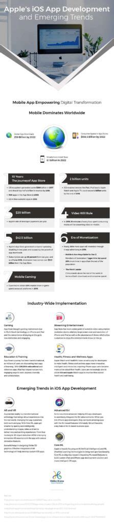 Mobile App Empowering Digital Transformation Infographic 00 01 0998 Min