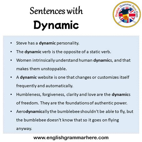 Sentences With Dynamic Dynamic In A Sentence In English Sentences For