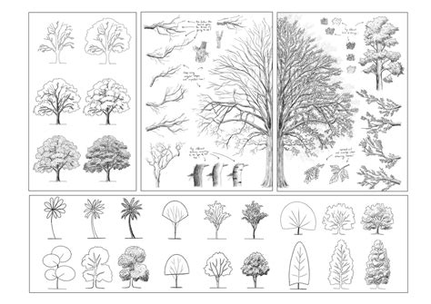 Artstation Tree Sketches Step By Step Tutorial