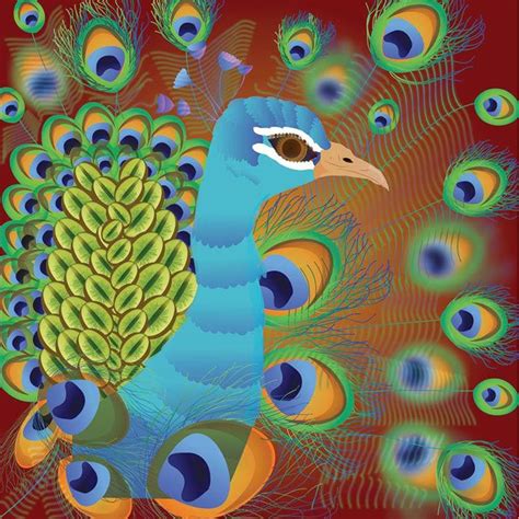 Peecock By Neeshta On Deviantart