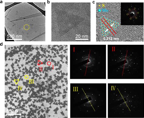 A Low Magnification Tem Image Of The Heterostructure Scale Bar 500