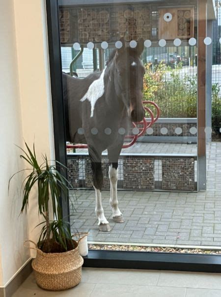 Clientengagement Esg Visitor Mark Ash 34 Comments