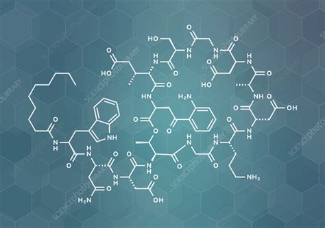 Daptomycin Antibiotic Drug Molecular Model Stock Image F025 1949 Science Photo Library