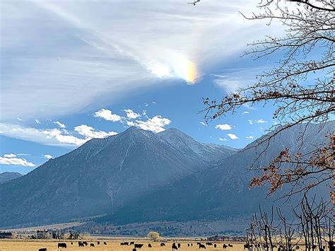 The Nov 3 2021 R C Morning Report Serving Minden Gardnerville And