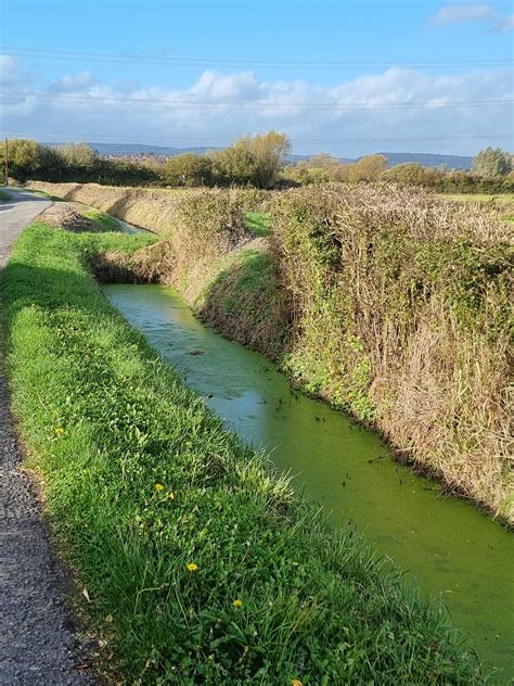 Eutrophication Fertilizer Used On Fields Causing Algae To Grow Like
