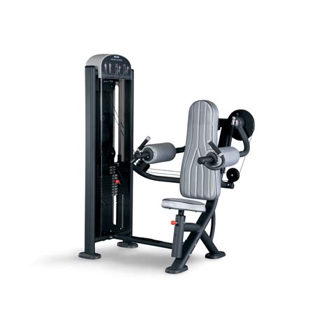 Lateral Deltoids För Träning Av Yttre Axelmuskler