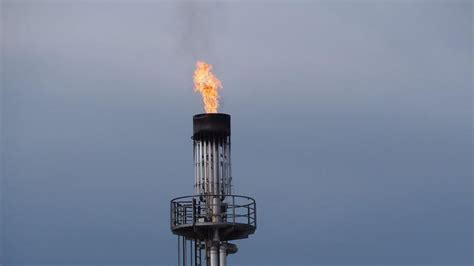 Brunei Shell Petroleum Partners Kerala It Major Ibs Digpu News