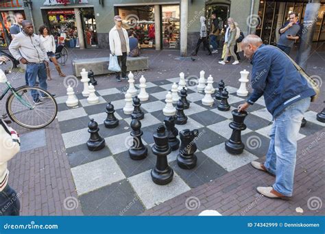 Large Chess Pieces On The Grass Stock Image 59570221