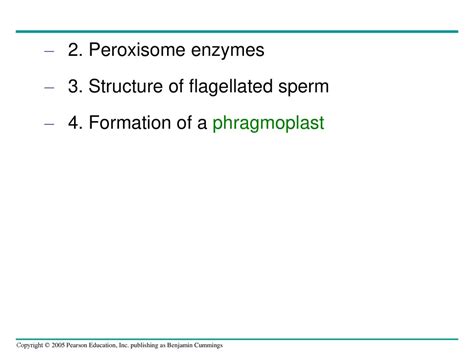 Plant Diversity I How Plants Colonized Land Ppt Download