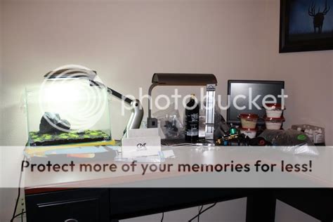 Ada Mini M Shut Down And For Sale The Planted Tank Forum