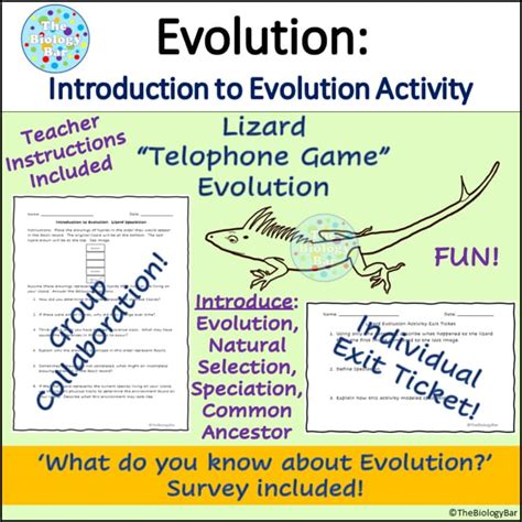 Evolution Lesson Myths Speciation Fossils And Activities With Exit Ticket