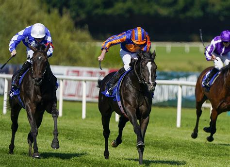 Epsom Can Auguste Rodin Bounce Back In The Derby