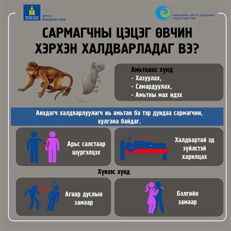 Сармагчны цэцэг өвчин хэрхэн Эрүүл Мэндийн Яам