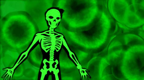 Which One Had The Best Transformation Sequence Rben10