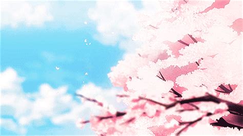 The Irregular At Magic High School  Wiffle