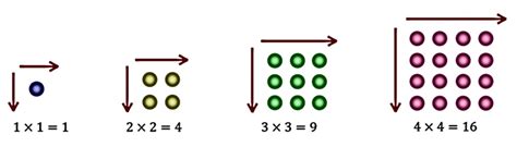 Integer Powers And Associated Real Roots Shalom Education