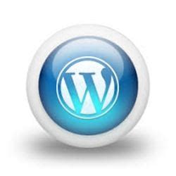 Wordpress Developer