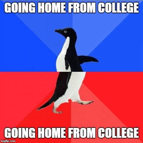 Socially Awkward Awesome Penguin Meme Imgflip