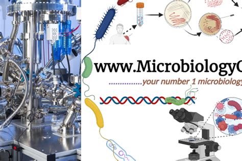 Project And Seminar Topics Archives Everything Microbiology