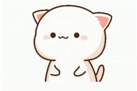 Cute Cartoon Cat S Tenor