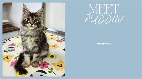 Success Stories Clearpoint Pharmacy And Compounding Centre