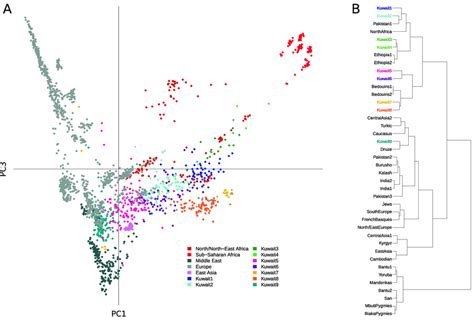 Genetic Structure Based On Haplotype Sharing Pattern A Pca Based On