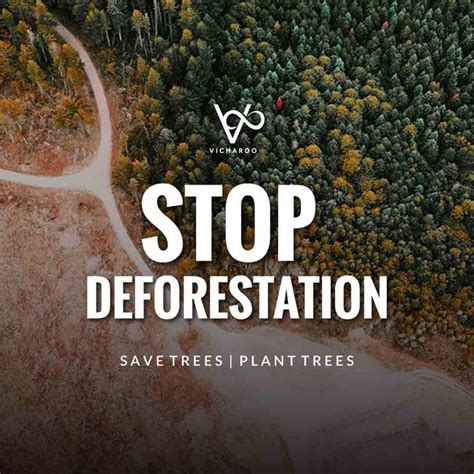 Stop Deforestation Save Forests Tree Plantation Slogans And Quotes