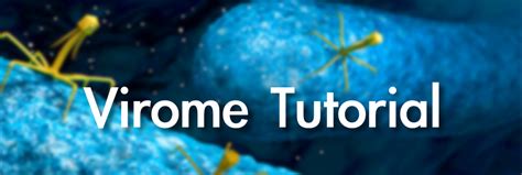 Gathering The Virome Reads Microbiome Binfies