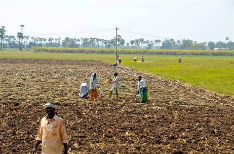 Elevation Of Avanigadda Andhra Pradesh India Topographic Map