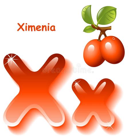 Fruta Ximenia