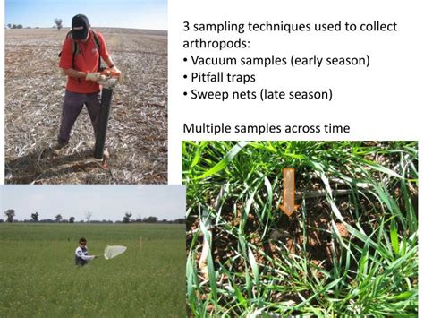 Ppt 3 Sampling Techniques Used To Collect Arthropods Vacuum Samples