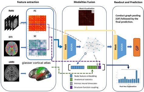 논문 리뷰 Integrated Brain Connectivity Analysis With Fmri Dti And Smri