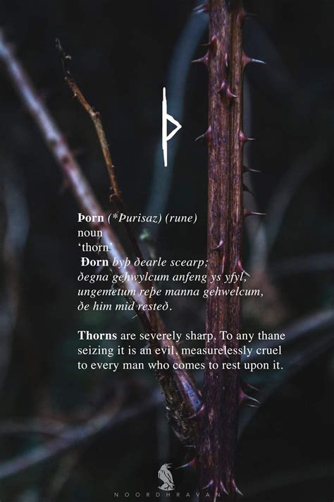 Norse Compass Vegvisir Meaning Artofit