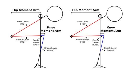 Analyzing The Squat Nicholas Soleyn