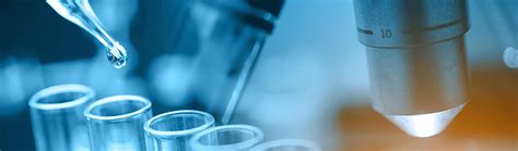 Cgmp Process And Analytical Method Validation Services Redox Scientific