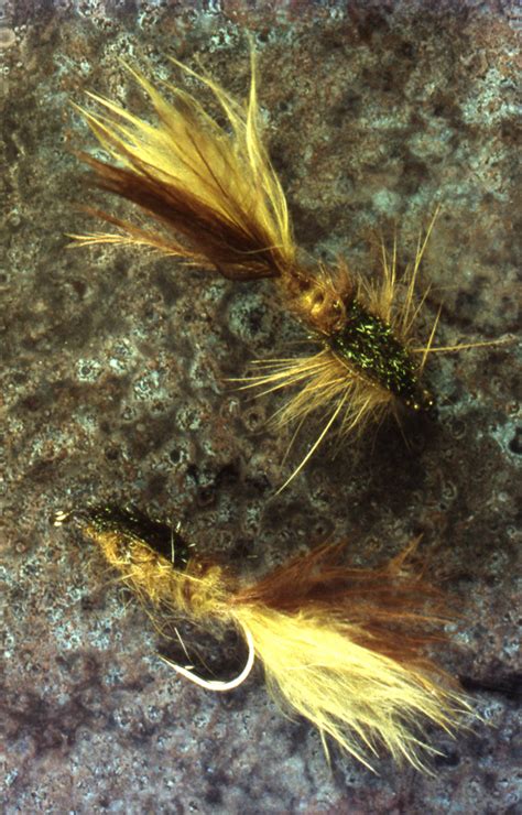 Gary Borger Blog Archive Marabou Damsel Nymph