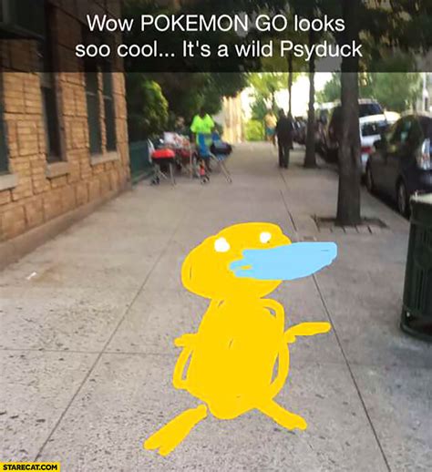 Psyduck Memes