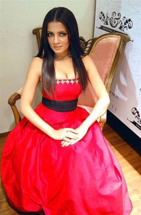 Bollywood Actress Celina Jetli Cool Photos